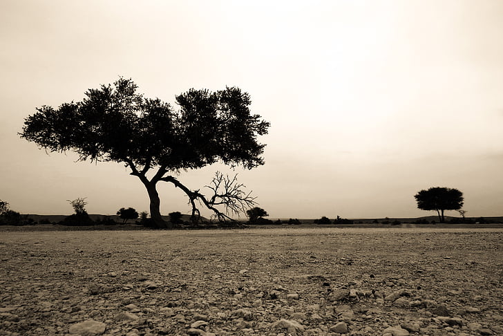 No Climate Transition Without Securing Land Rights - OneWorld SouthAsia