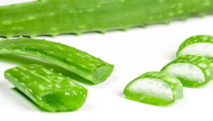 Aloe Vera Peels Could Fight Staple Food Crop Pests - OneWorld SouthAsia