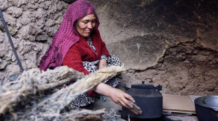 Combating Household Air Pollution: A Global Challenge and Opportunity ...