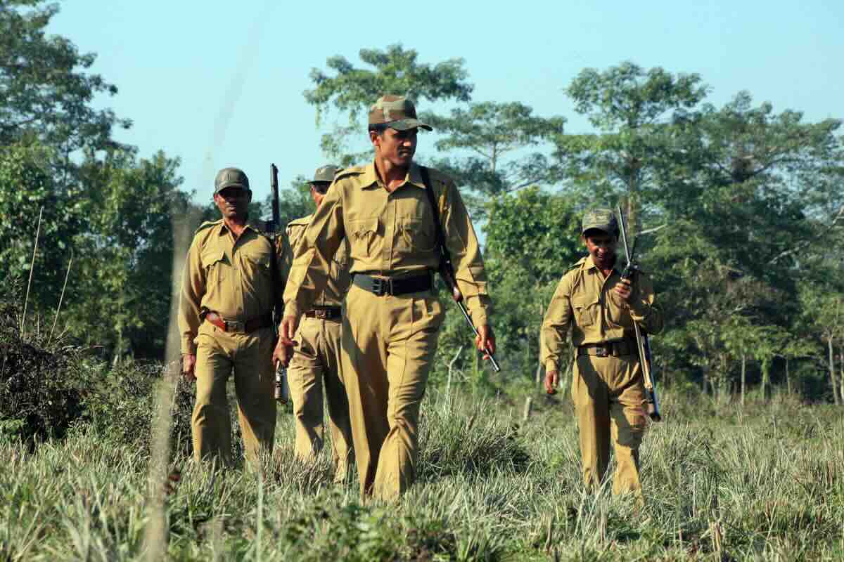Report Highlighting Sacrifices of India’s Forest Protectors Released at ...